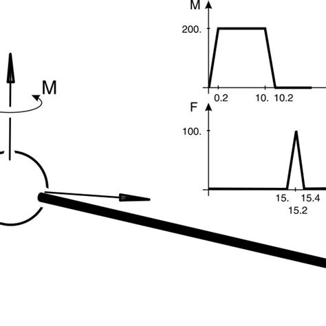 Rotating Beam With A Spherical Joint Submitted To Tip Load