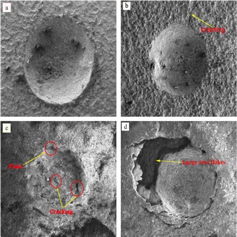 Cross Section Of Indentation Micromorphology Download Scientific Diagram