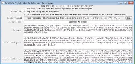 Burpsuit激活教程 Csdn博客