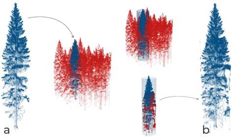 A New Article On Wood Quality Estimation From Dense Airborne Lidar Point Clouds Smartforest