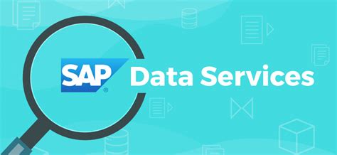 SAP Data Services Wiiisdom Analytics Governance Solutions