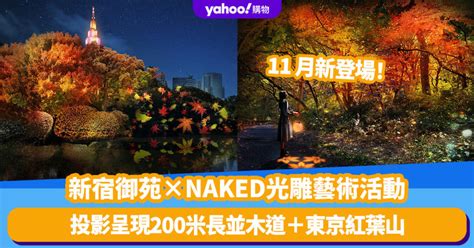 日本紅葉2023東京名所新宿御苑NAKED光雕藝術活動燈光投影呈現200米長並木道東京紅葉山 現場設免費燈籠楓葉造型甜品