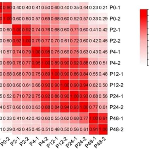 Correlation Matrix Heat Map Of The Correlation Between Samples All