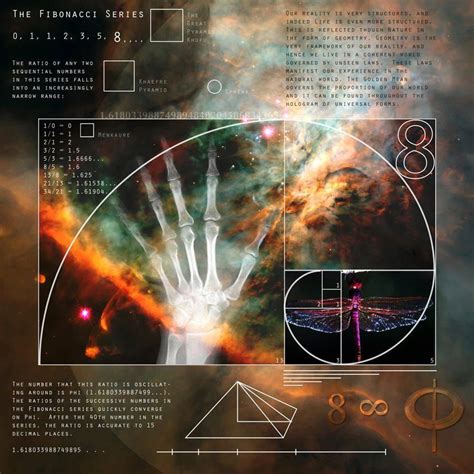 The Fascinating FIBONACCI NUMBERS Structure de l adn Géométrie sacrée Anatomie du corps humain