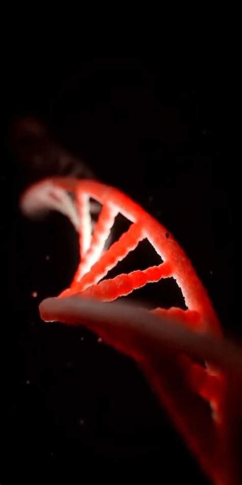 Best 12 Dna Vs Rna 3 Main Differences Artofit