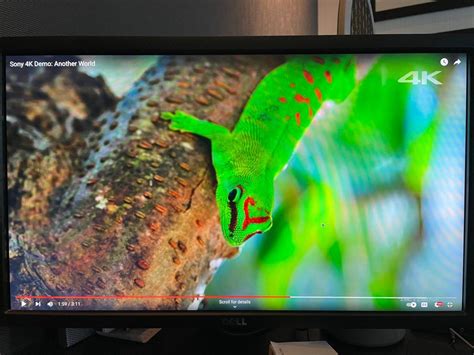 Dell Monitor Computers And Tech Desktops On Carousell