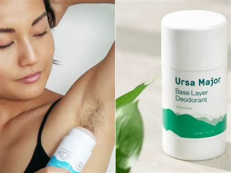 Eliminate Stinky Cast Smell With These Simple Tips How To Guide Grooming Wise