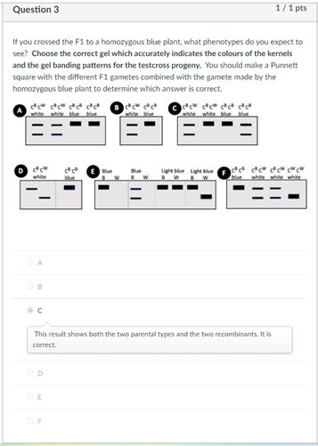solved from the question above look at the gametes produced