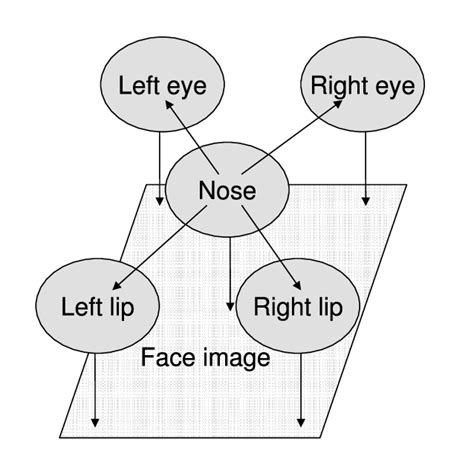 Bayesian Network Model Of A Face Download Scientific Diagram