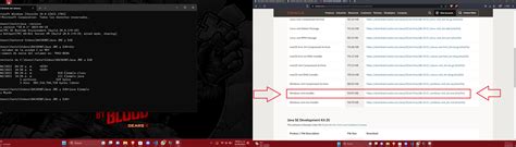duda java jre y jdk compile y ejecute su primer programa alura