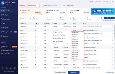 Setup Tutorial PIA S Proxy