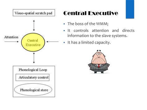 Ppt Working Memory Model Quiz Powerpoint Presentation Free Download Id5875352
