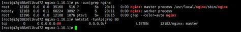 Nginx编译安装常见报错nginx编译问题void 1 Csdn博客