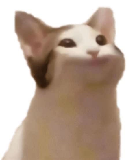 Popcat
