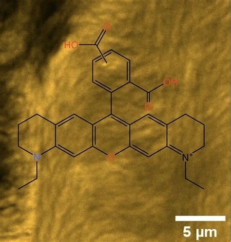 Revolutionary Pyrazole Synthesis Promises Sustainable Solutions For Agriculture Agritech Insights