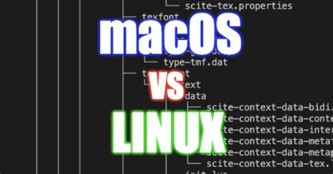Macos Fs Vs Linux Fs Case Sensitivity