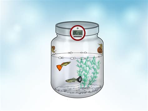 How To Make A Closed Aquatic Ecosystem Steps With Pictures