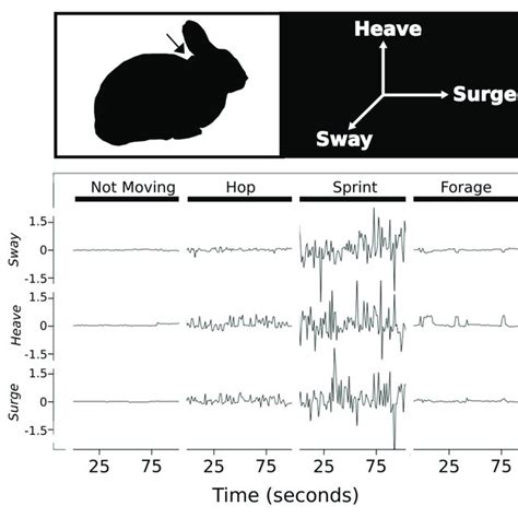 Example Of 1 Hz Tri Axis Accelerometer Data And The Orientation Axis Download Scientific
