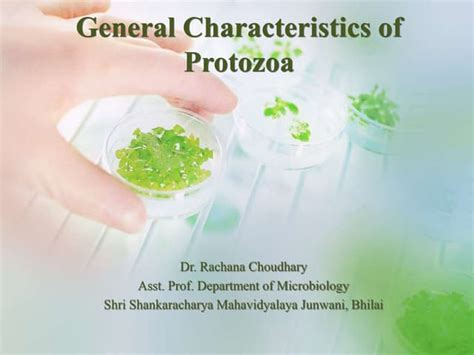 Protozoa Ppt