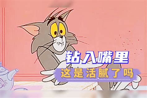猫和老鼠:杰瑞竟然主动往汤姆嘴里钻,这操作直接给我整不会了啊汤姆杰瑞主动 猫和老鼠:杰瑞竟然主动往汤姆嘴里钻,这操作直接给我整不会了啊汤姆杰瑞主动