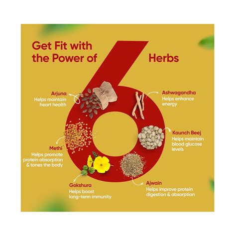 Dr Vaidyas Plant Protein Chocolate Flavour 500g