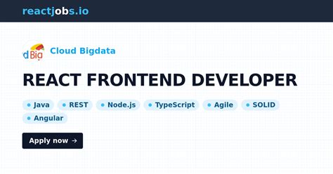 Remote React Frontend Developer At Cloud Bigdata