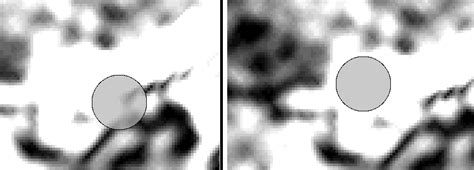 Javascript React Js Modal With Expansionpaneldetails With Checkbox