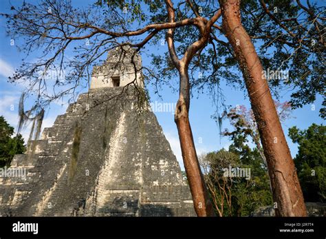 Temple I Of The Maya Archaeological Site In Tikal National Park