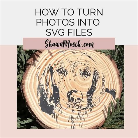 Picture To Svg Shawn Mosch Updated For 2022