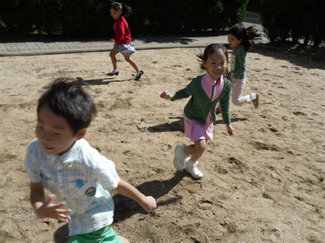 ☆과학의 날 행사 그림자 놀이☆ 2010학년도 친구들 교육으로 앞서가는 신안유치원