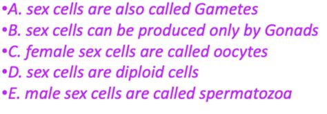 Sexual Reproduction Flashcards Quizlet