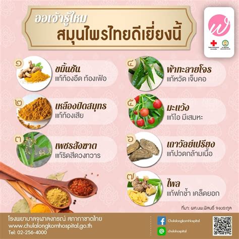 ศูนย์ดูแลผู้สูงอายุและผู้ป่วยระยะพักฟื้น อุ่นไอรัก เนอร์สซิ่งโฮม ฉะเชิงเทรา สาระน่ารู้