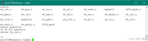 【1】linux 命令环境下 C 语言实践用 Cc构造一个简单的 Shellc模拟shell Csdn博客