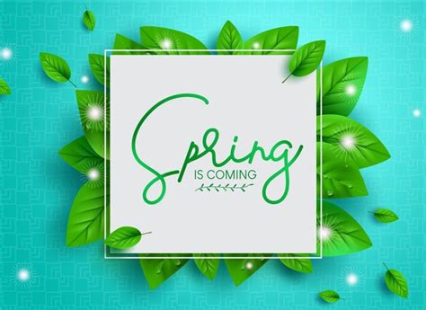 봄 텍스트 벡터 템플릿 디자인입니다 빈 프레임 공간에 신선한 타이포그래피가 봄을 맞이하고 있습니다 프리미엄 벡터