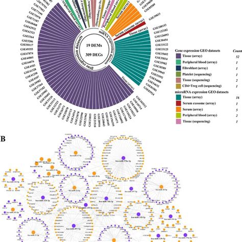 A The Circular Barplot Showing The Basic Information Of Geo Datasets Download Scientific