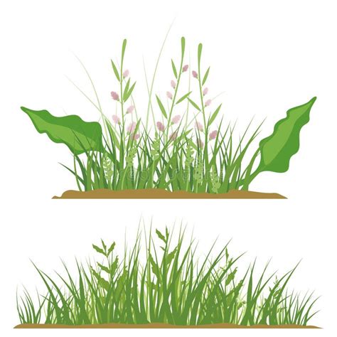 Grass Design Elements Stock Illustration Illustration Of Green 12149925