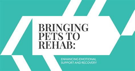 Ciwa Protocol Comprehensive Guide For Effective Monitoring