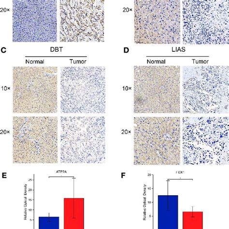 Protein Expression Levels Of 4 Crgs Using Immunohistochemistry A D Download Scientific