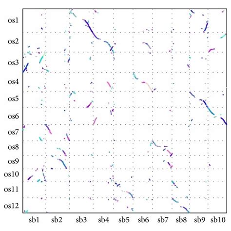 Four Types Of Synteny And Collinearity Plot A Circle Plot B Bar Download Scientific Four Types Of Synteny And Collinearity Plot A Circle Plot B Bar Download Scientific