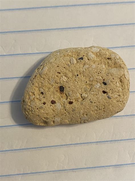 Beach Find On Lake Huron Fossil ID The Fossil Forum