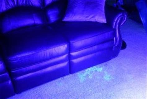 Semen Detection Lamp Recorders And Investigation