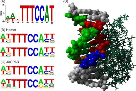 A Sequence Motif Conserved In The Dna Sequences Generated By Our Model