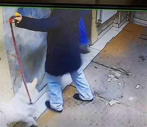 Нохойтойгоо явж байсан охиныг өшиглөсөн иргэнийг 300 000 төгрөгөөр торгожээ Цэх мэдээ