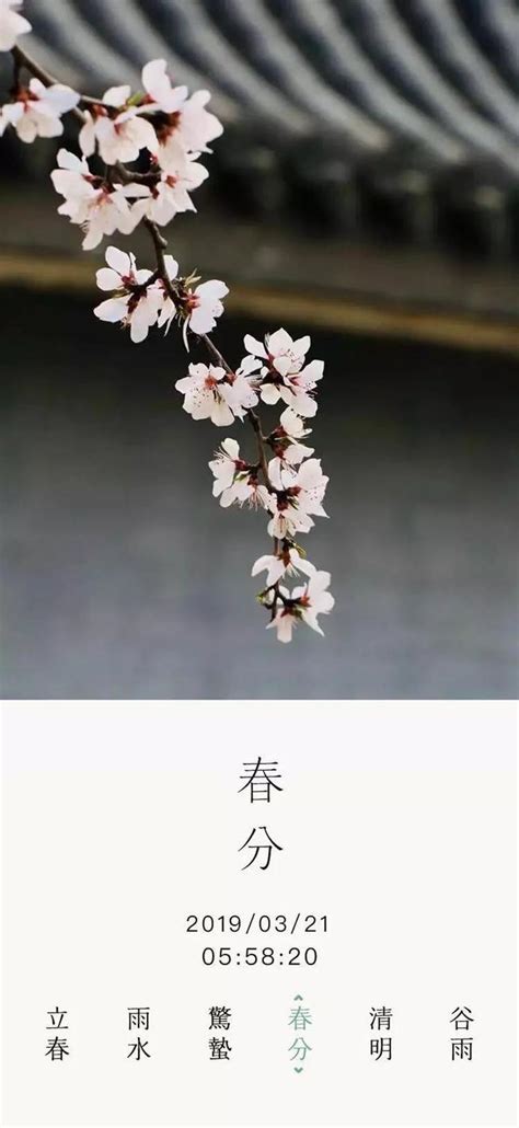春分 每日頭條
