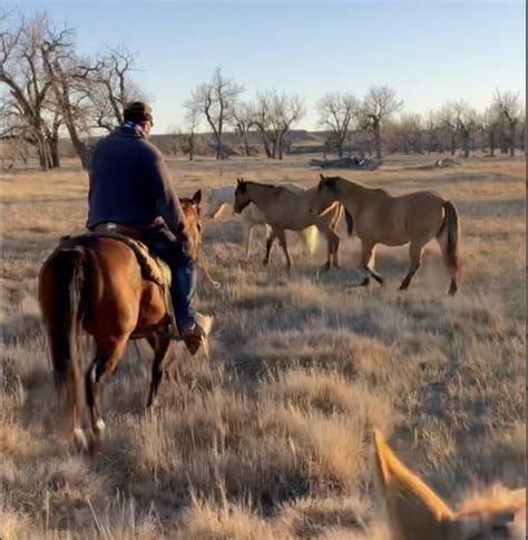 Candid Conversations — Representative Jd Williams