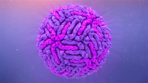 Yellow Fever Virus Lysate 17d Strain The Native Antigen Company