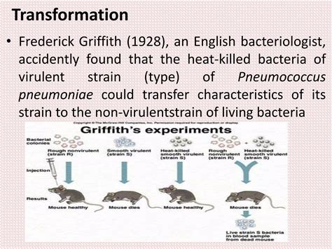Reproduction In Bacteria Pptx