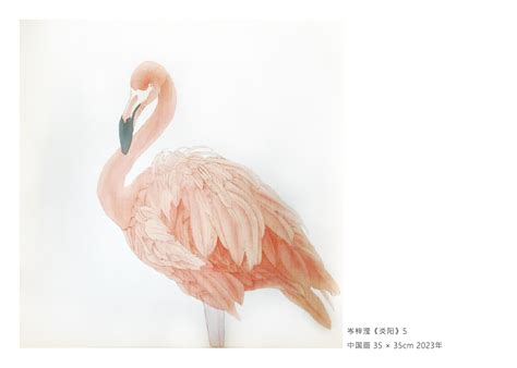 岑梓滢 深圳大学艺术学部