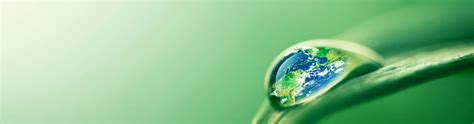 Sustainability Strategy Bcpg