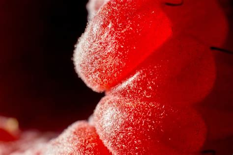 Raspberry [oc][2121×1414] R Macroporn